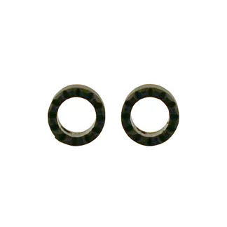 Stereotaxic Ear Bars