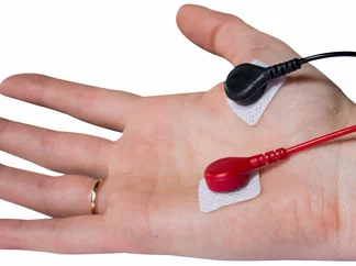 Electrodermal Activity (EDA)